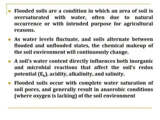 Flooded Soils | PPTX