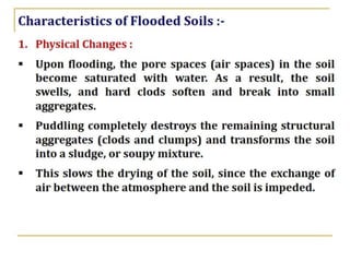 Flooded Soils | PPTX