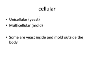 Lecture on fungi [11 25-13 monday] | PPTX