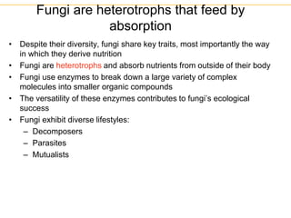 Lecture on fungi Part-I.pdf