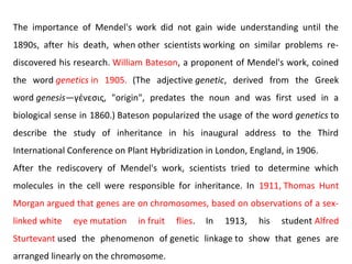 Lecture on history of genetics | PPT