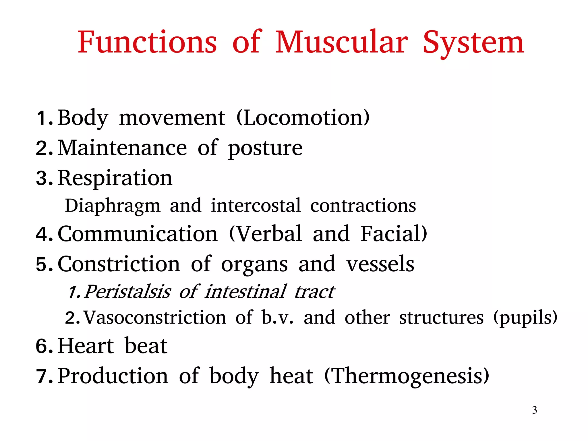 Lecture on muscular system | PDF