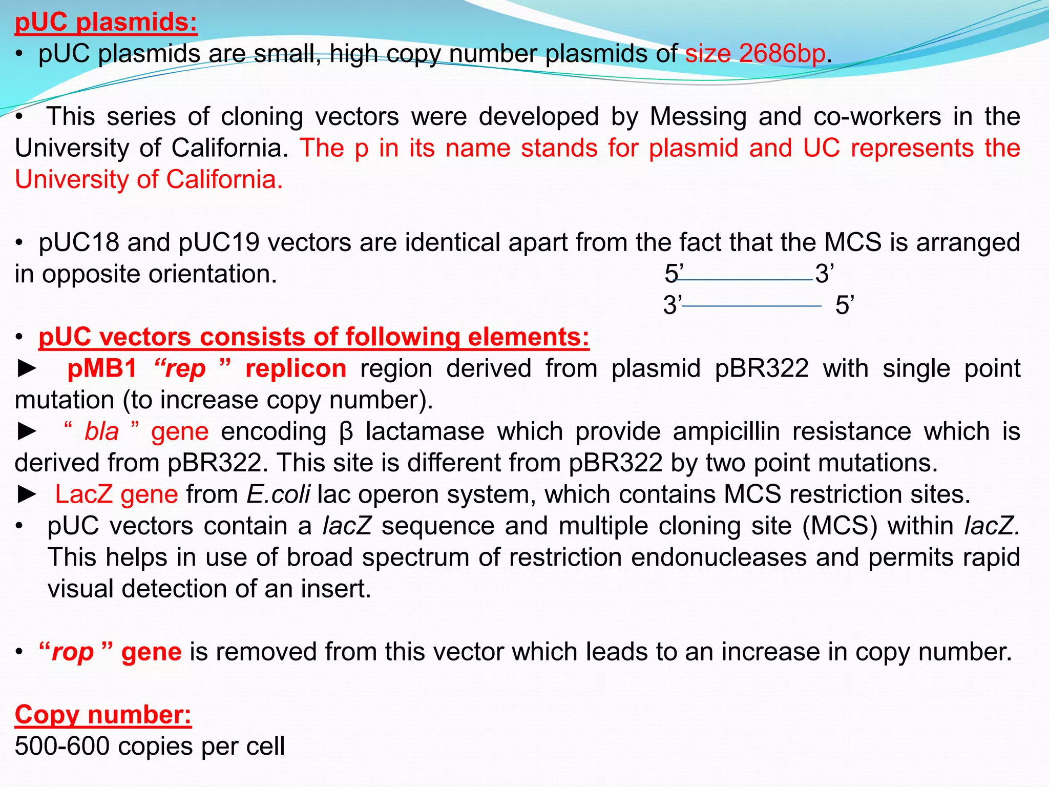 Lecture on pUC18 vector | PDF