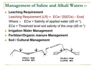 Saline Water | PPTX