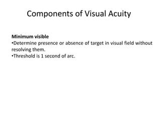 Lecture on vision | PPTX