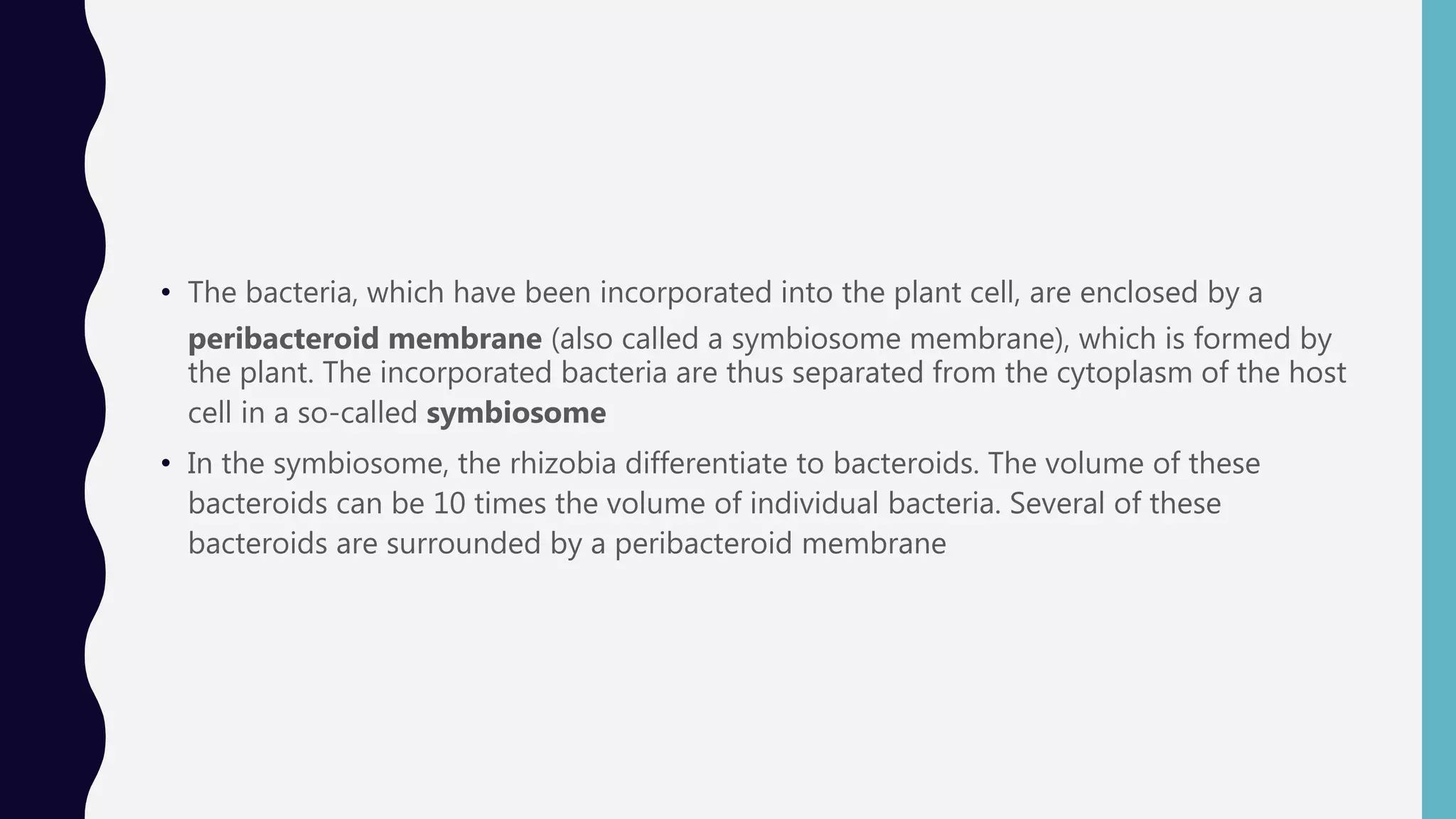 nitrogen fixation | PPTX