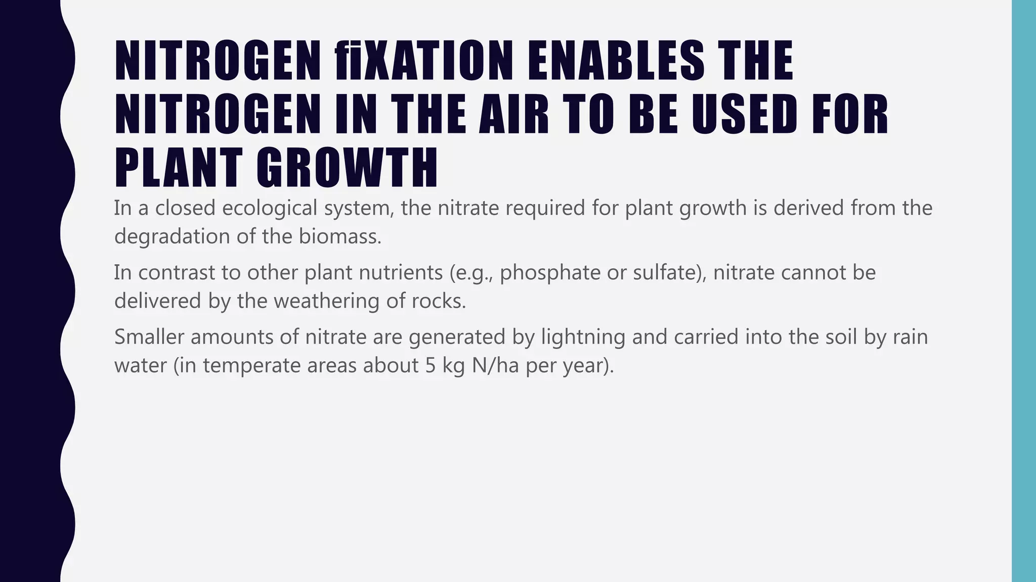 nitrogen fixation | PPT
