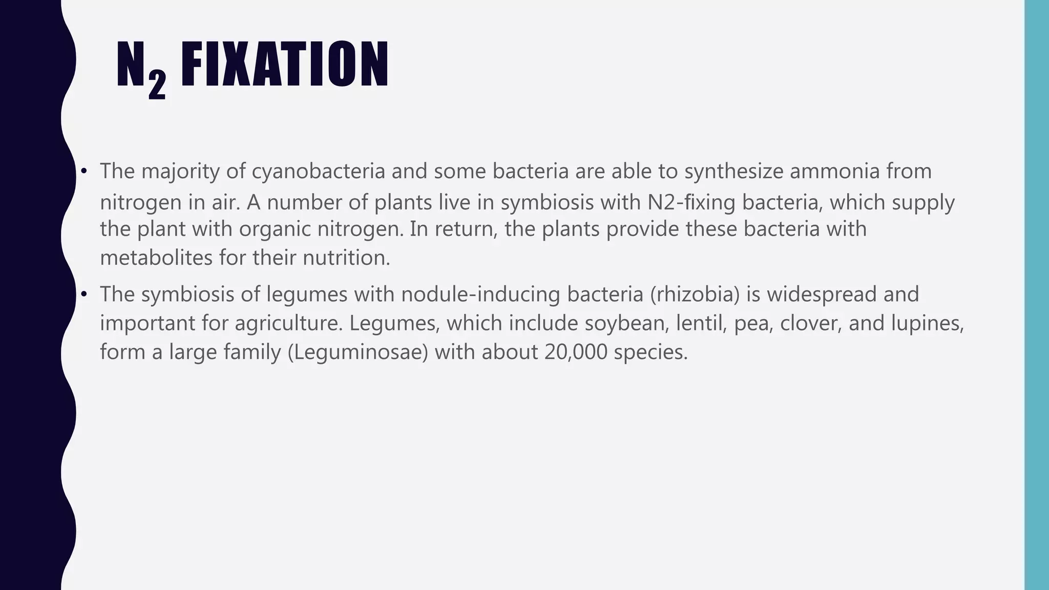 nitrogen fixation | PPTX