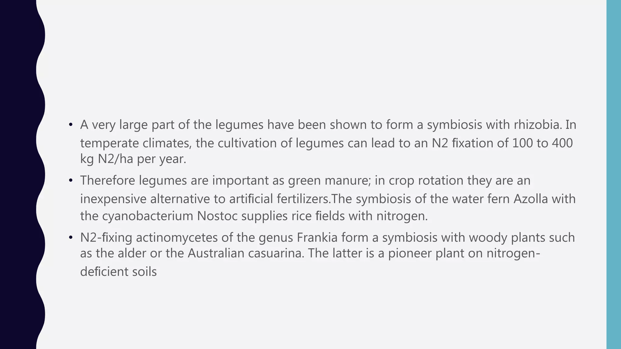 nitrogen fixation | PPTX