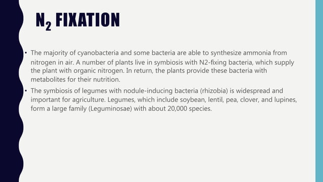 nitrogen fixation | PPT