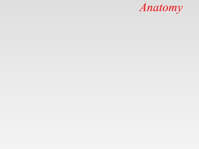 Lecture ped. surg.basics.pptx