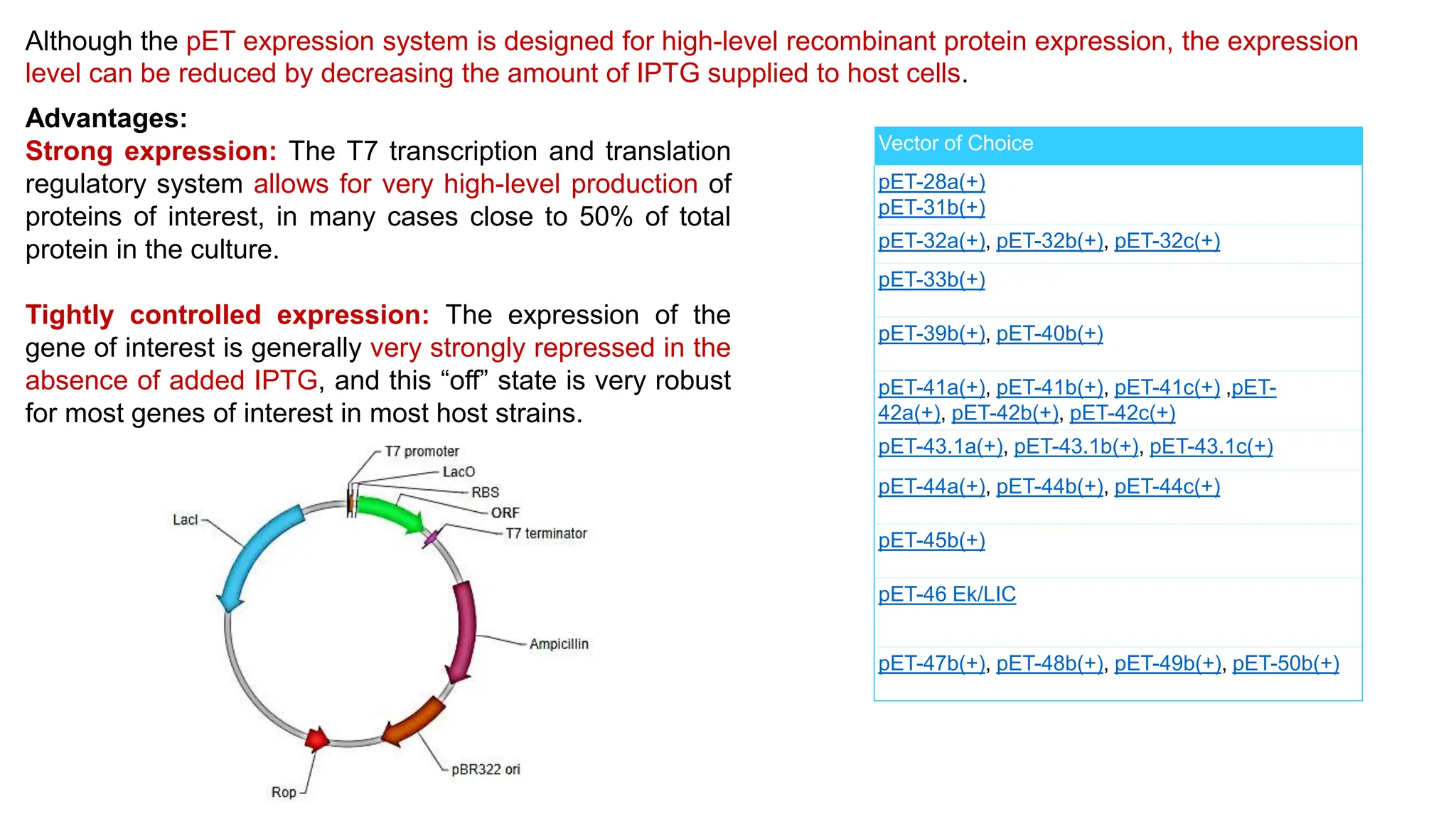 pET Bacterial Recombinant Protein Vector | PPTX