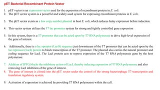 pET Bacterial Recombinant Protein Vector | PPTX