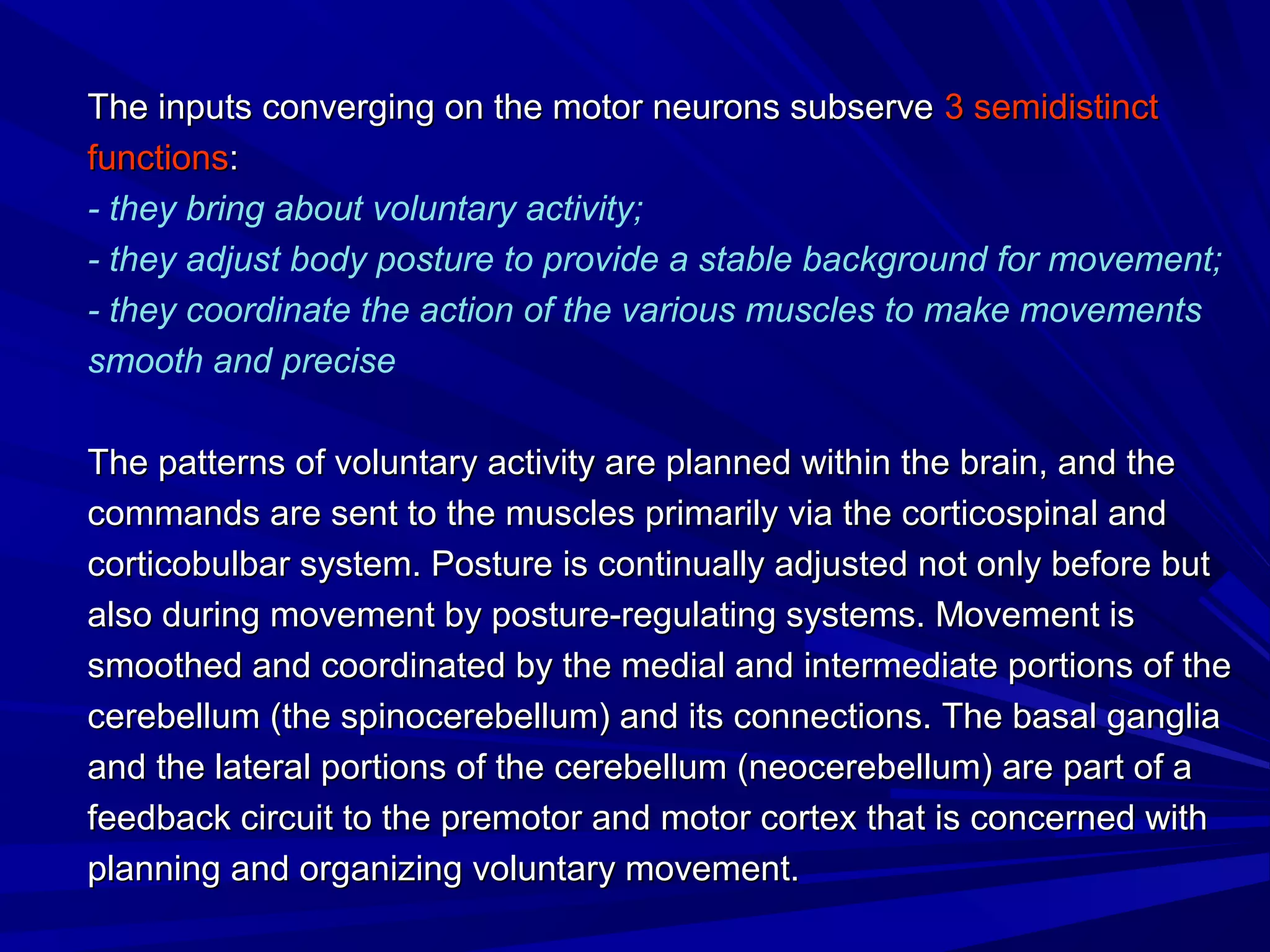 Lecture piramidal system | PPT