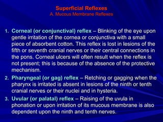 Lecture piramidal system | PPT