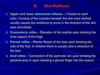 Lecture piramidal system | PPT