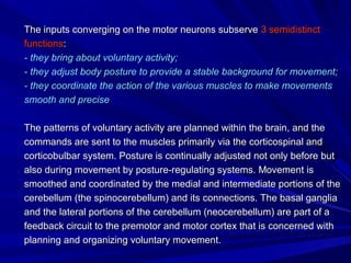 Lecture piramidal system | PPT