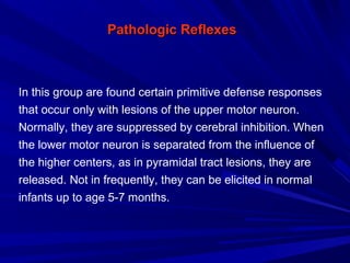 Lecture piramidal system | PPT