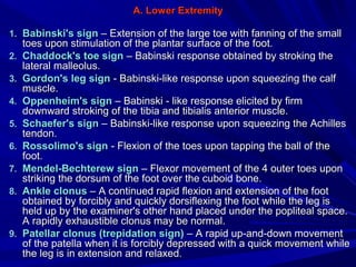 Lecture piramidal system | PPT