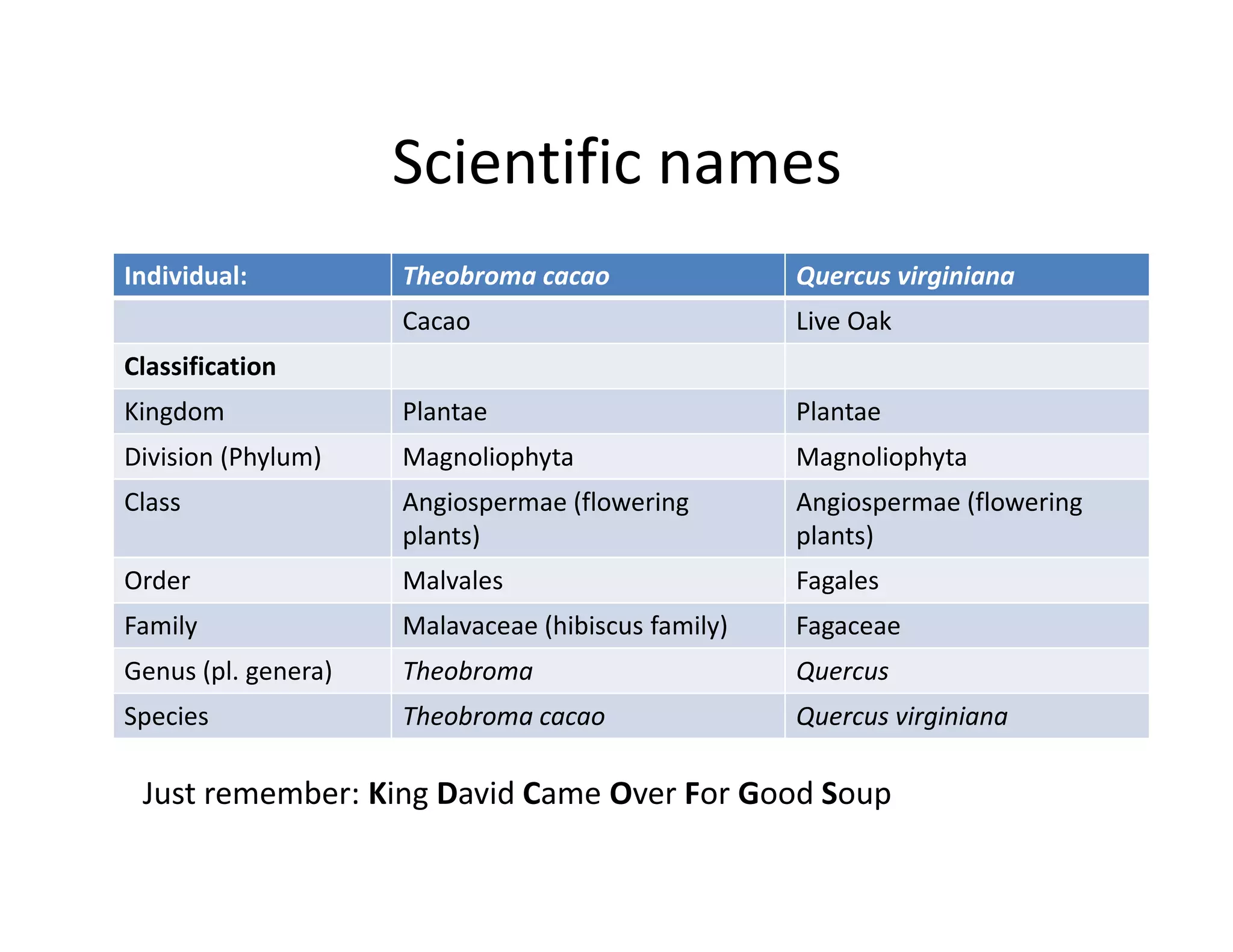 Lecture plant classification morphology | PDF