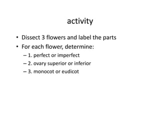 Lecture plant classification morphology | PDF