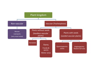 Lecture plant classification morphology | PDF