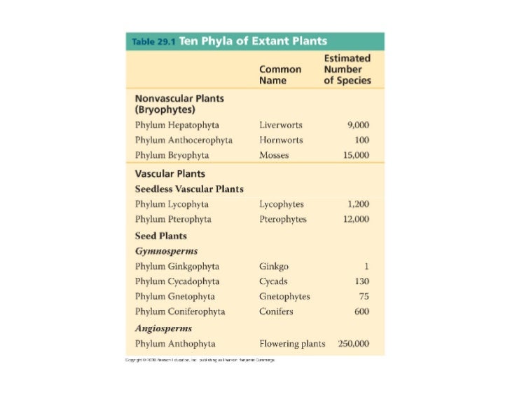 Lecture plant classification morphology