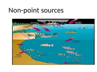 Lecture Pollution Classification & Sources.pptx