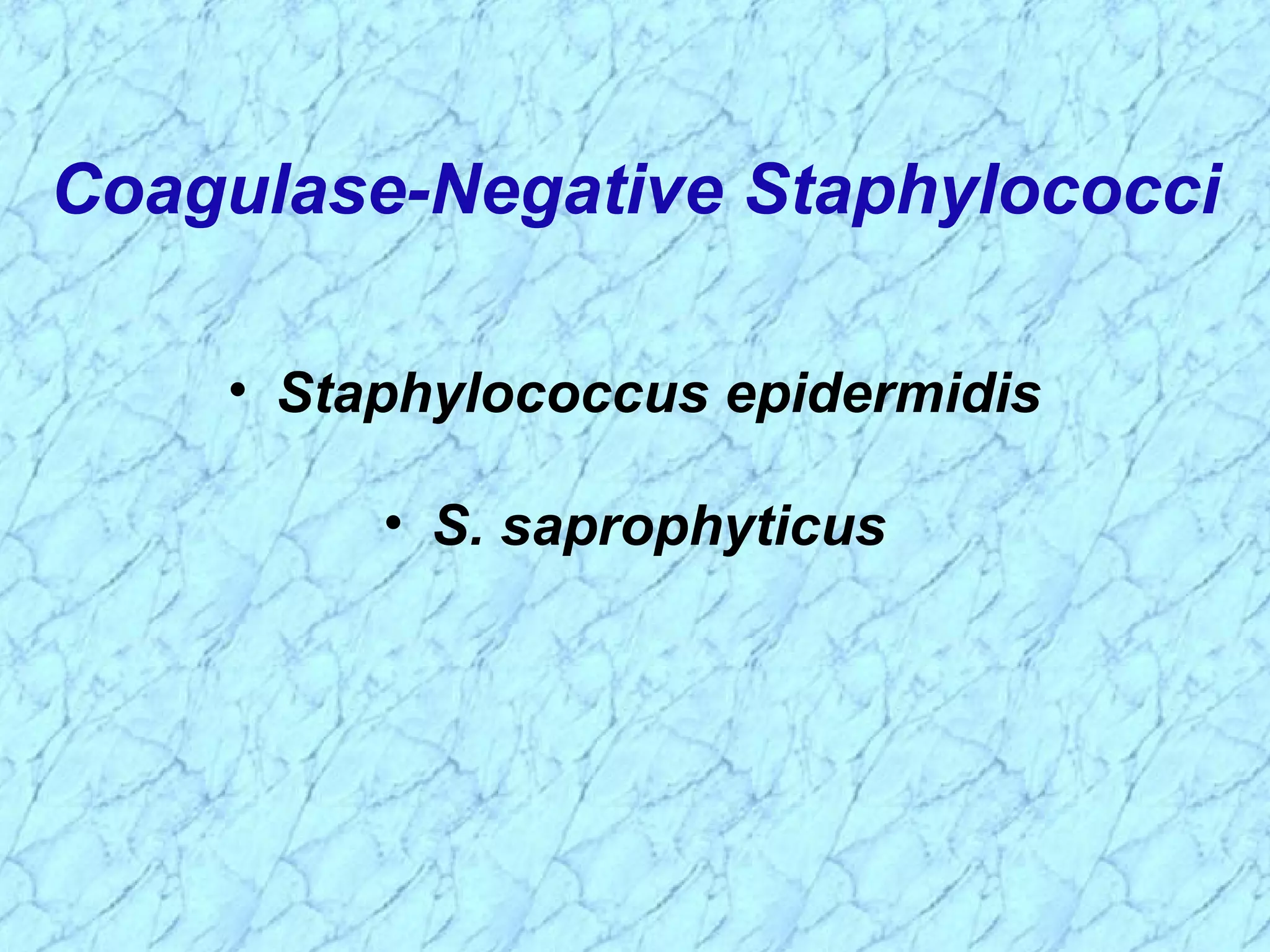 Lecture pp5&6staphylococcus | PPT