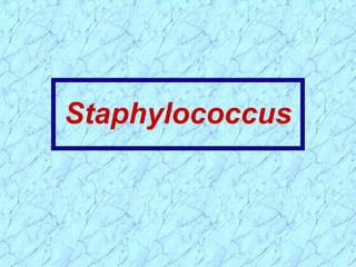 Lecture pp5&6staphylococcus | PPT | Free Download