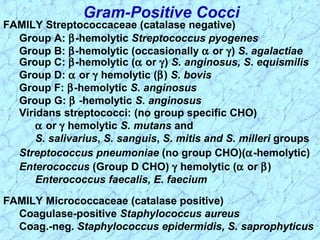 Lecture pp5&6staphylococcus | PPT