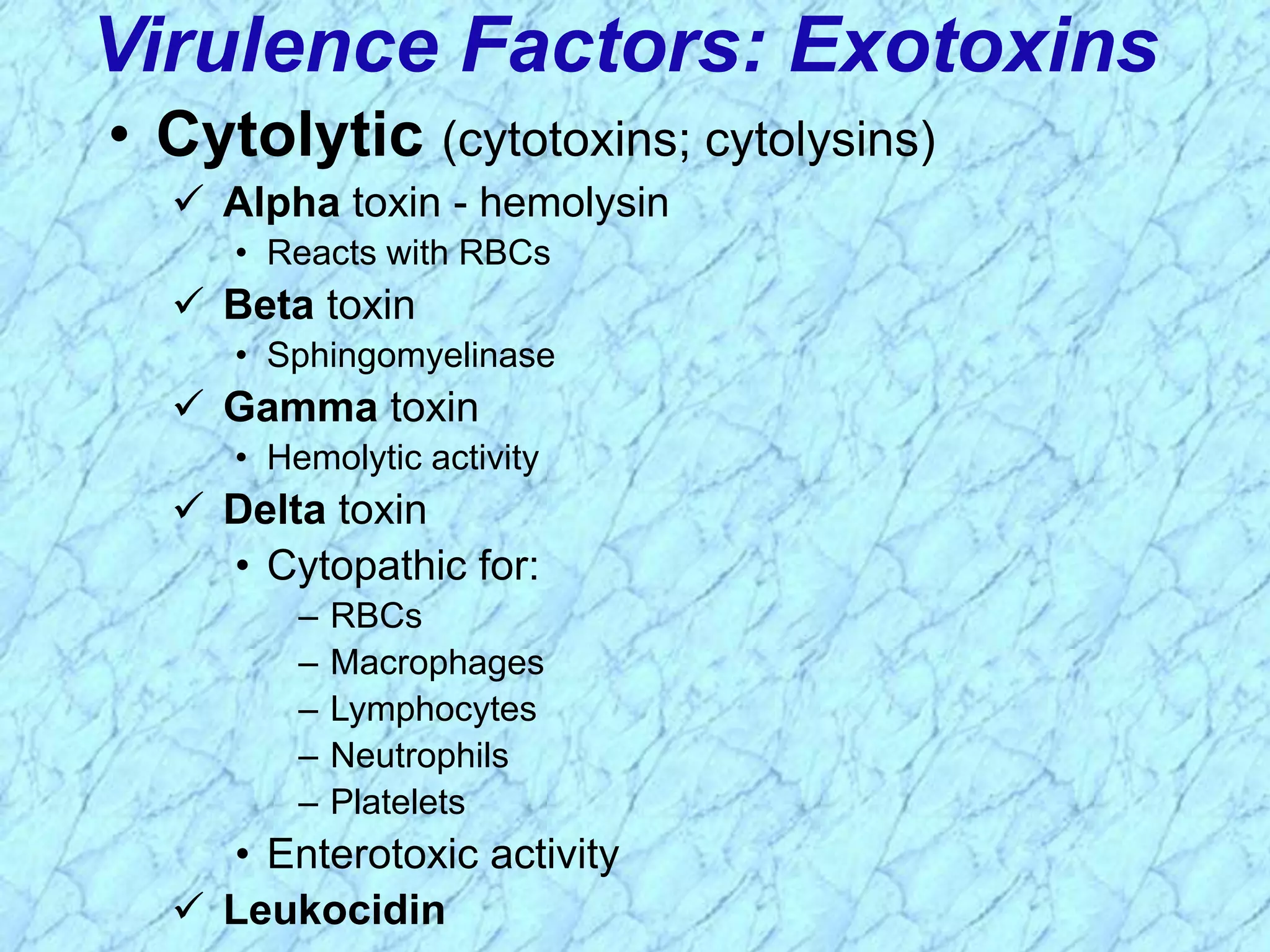 staphylococcus | PPT