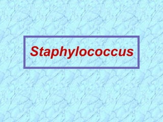 staphylococcus | PPT | Infectious Diseases | Diseases and Conditions