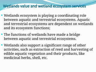 Wetlands and its Importance in Bangladesh Lecture PPT | PPTX