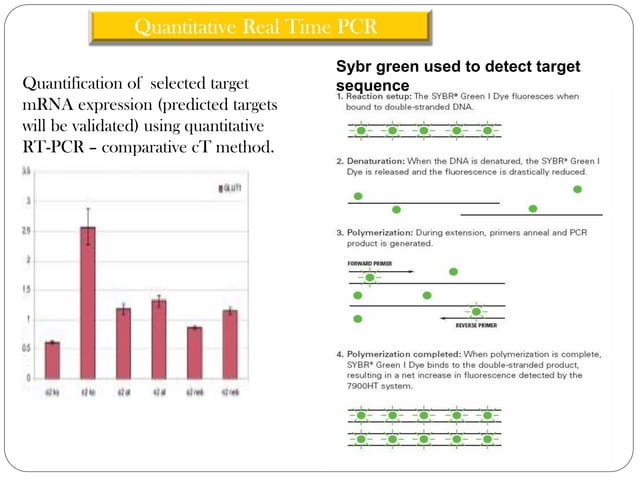 Lecture ON Real-Time Quantitative Reverse Transcription PCR _qRT-PCR.pdf