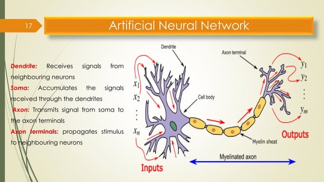 Introduction to soft computing | PDF | Artificial Intelligence | Technology & Computing