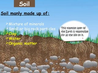 Soil and its Importance . | PPTX | Gardening | Home & Garden