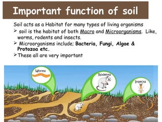 Soil and its Importance . | PPTX