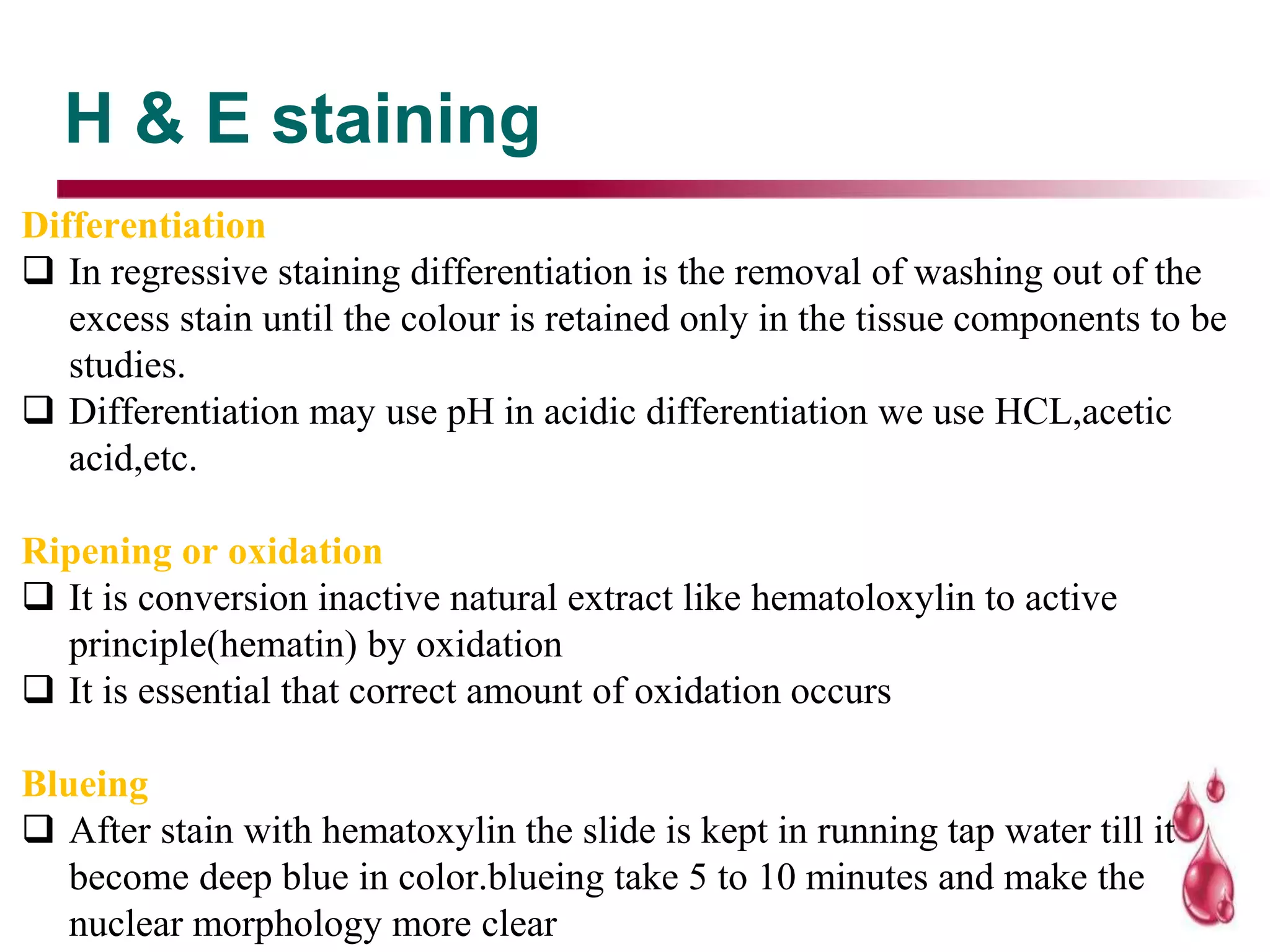 Lecturer 3. tissue staining | PPTX