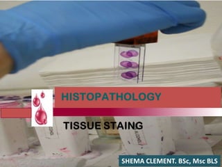 Lecturer 3. tissue staining | PPT