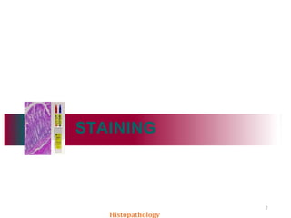 Lecturer 3. tissue staining | PPTX