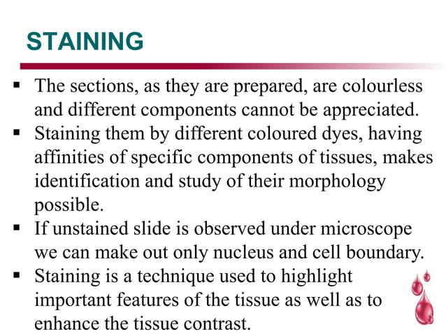 Lecturer 3. tissue staining | PPTX