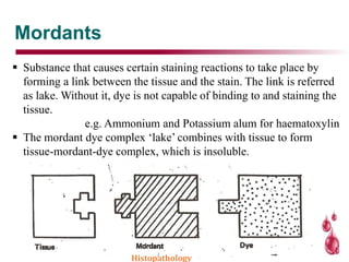 Lecturer 3. tissue staining | PPTX
