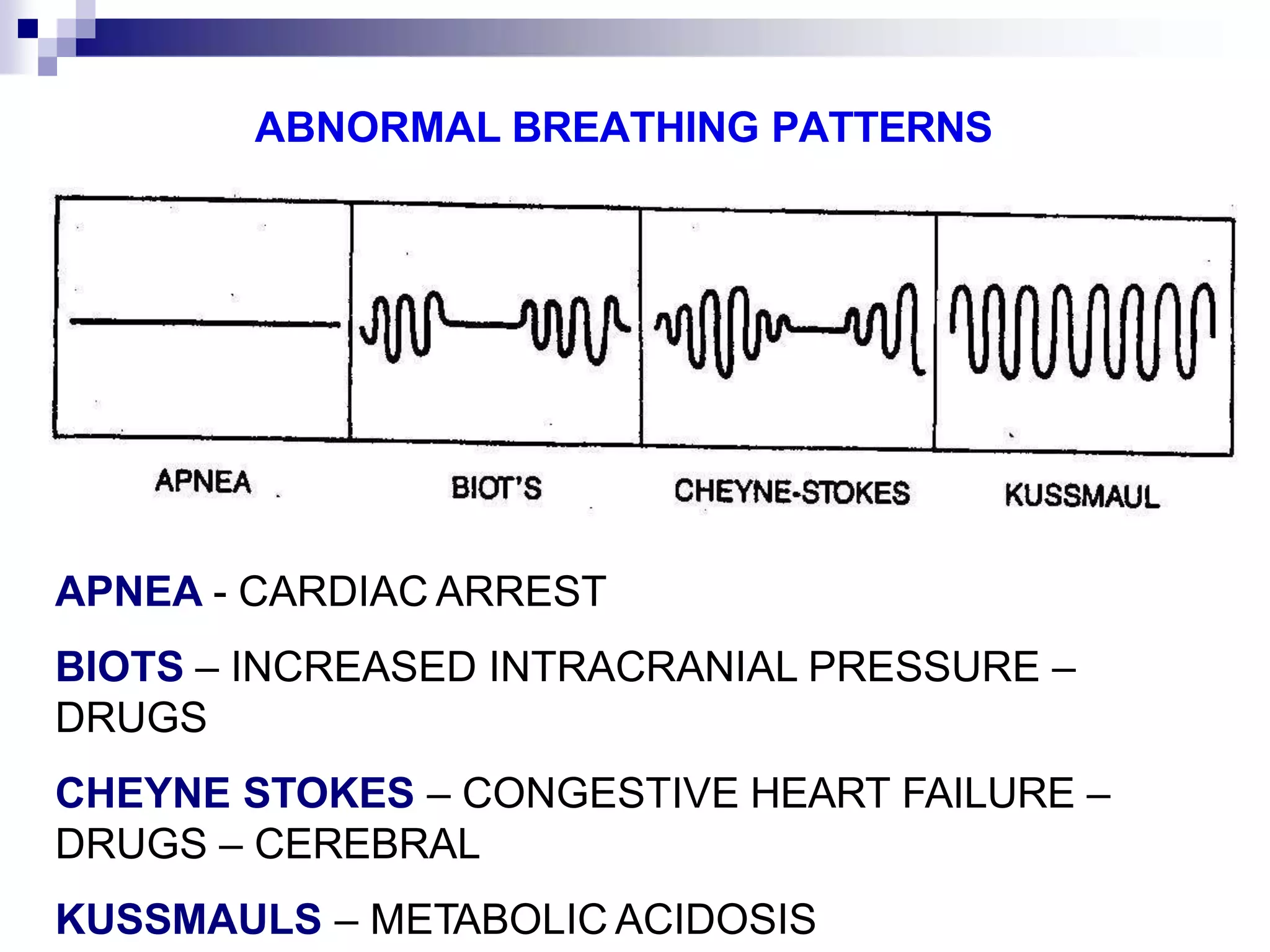 Lecture Respiratory system.pptx