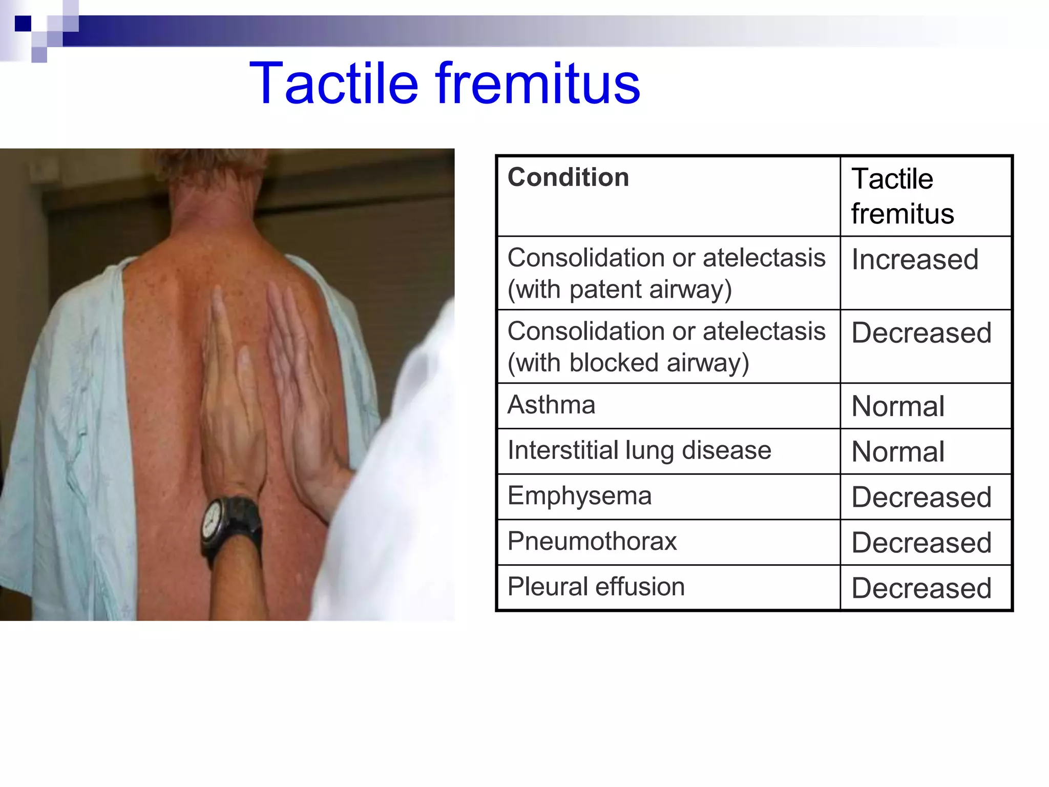 Lecture Respiratory system.pptx