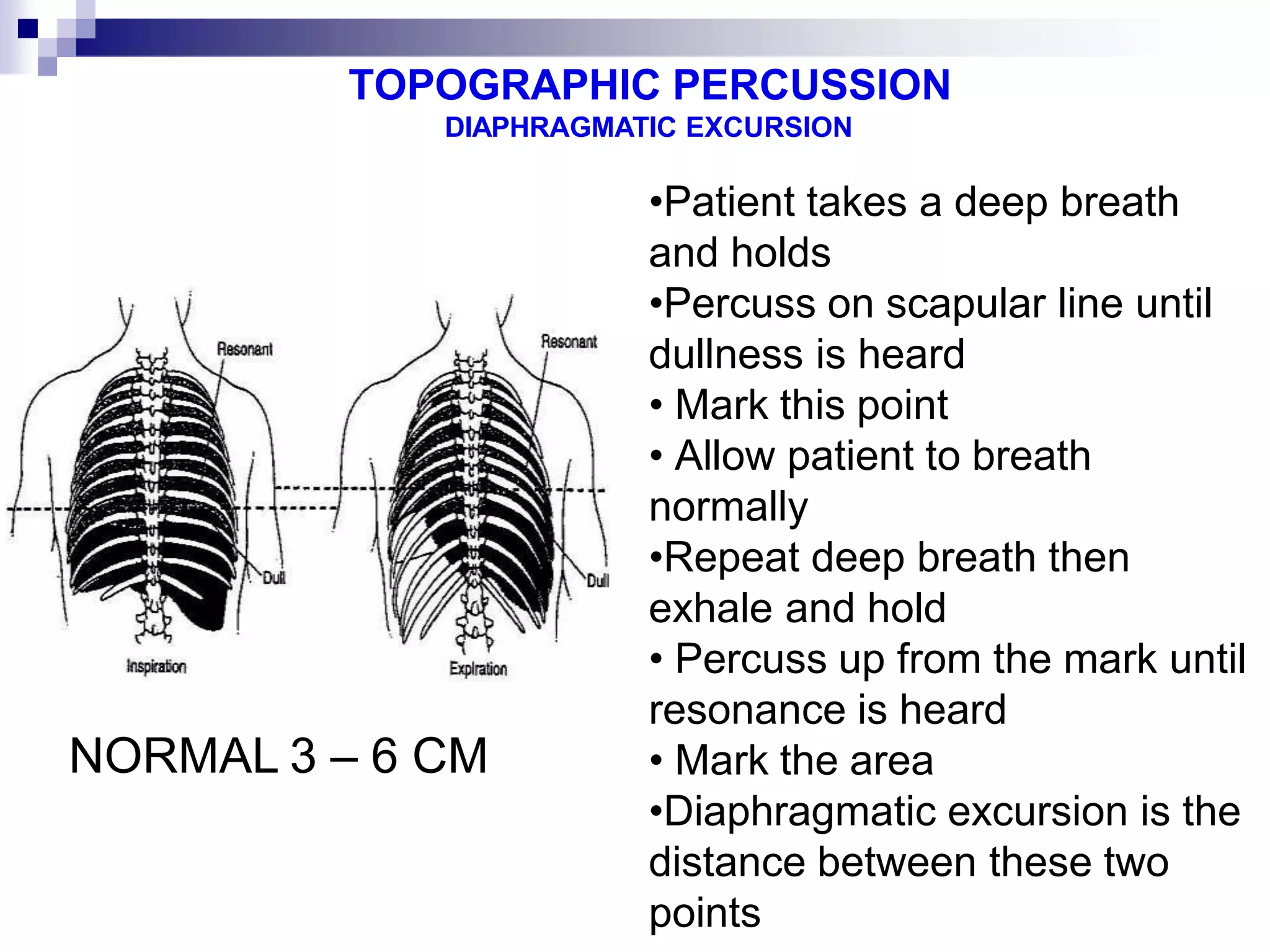 Lecture Respiratory system.pptx