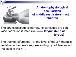 Lecture Respiratory system.pptx