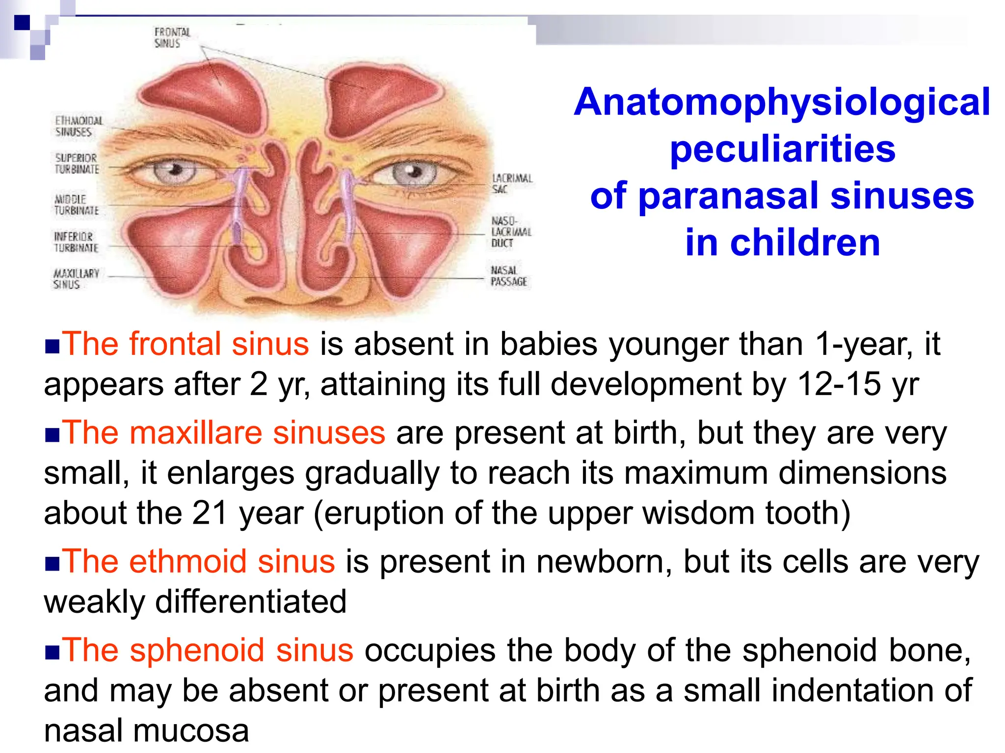 Lecture Respiratory system features. Examination of respiratory system ...