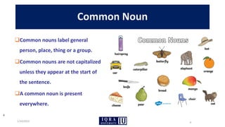 Parts of Speech-Noun | PDF