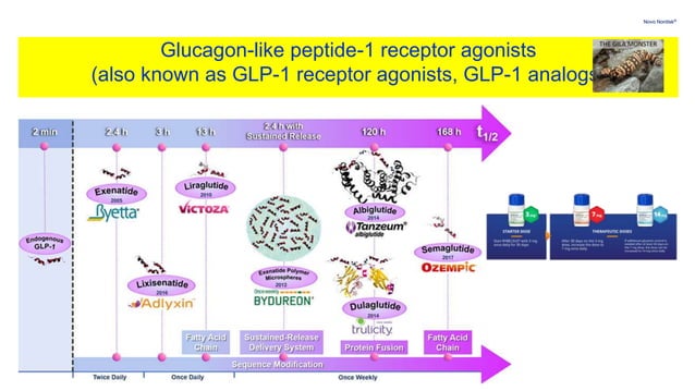 Oral GLP1 agonist, update on how to use+benefit | PPTX